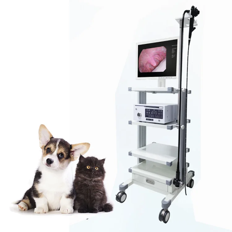 19'' Display Handheld Full HD Imaging Veterinary Endoscope Camera for ...