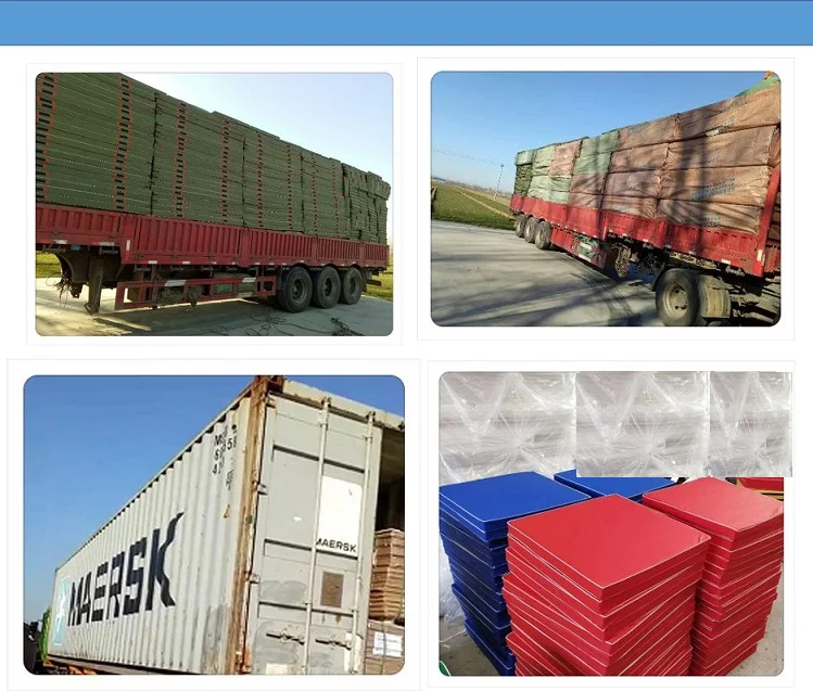 Cheap Price Large Gymnastic Crash Mat - Durable & Customizable