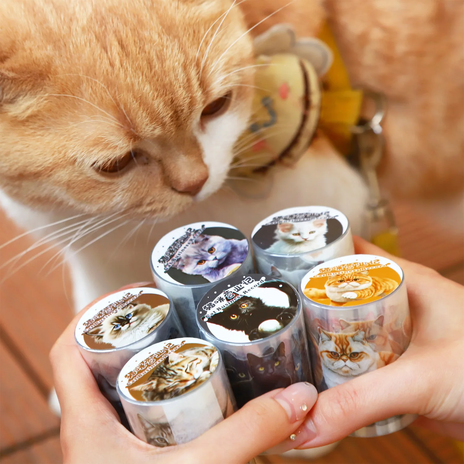 2m/roll Pet Tape Cat Business Series Cat Theme Handbook Material Loop ...