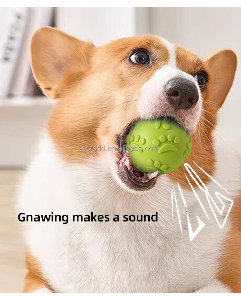 Interactive Plastic Dog Chew Toy - Fun and Entertainment
