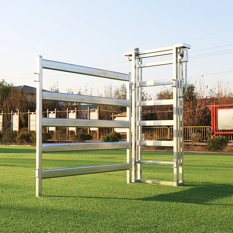 2025 Hot Dipped Galvanized Steel Cattle Pen Fences for Australia