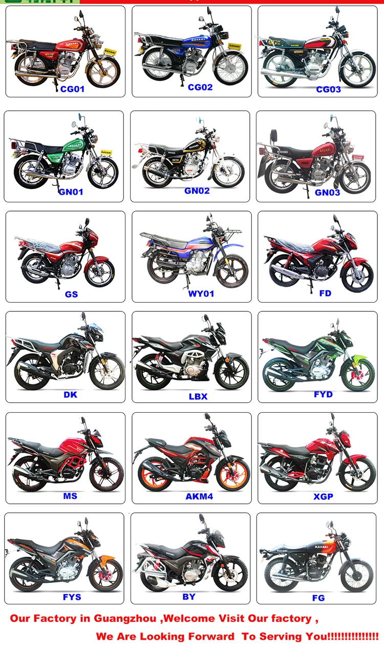 2020 Dongma Retro Monster Electric Motorcycle 2000W