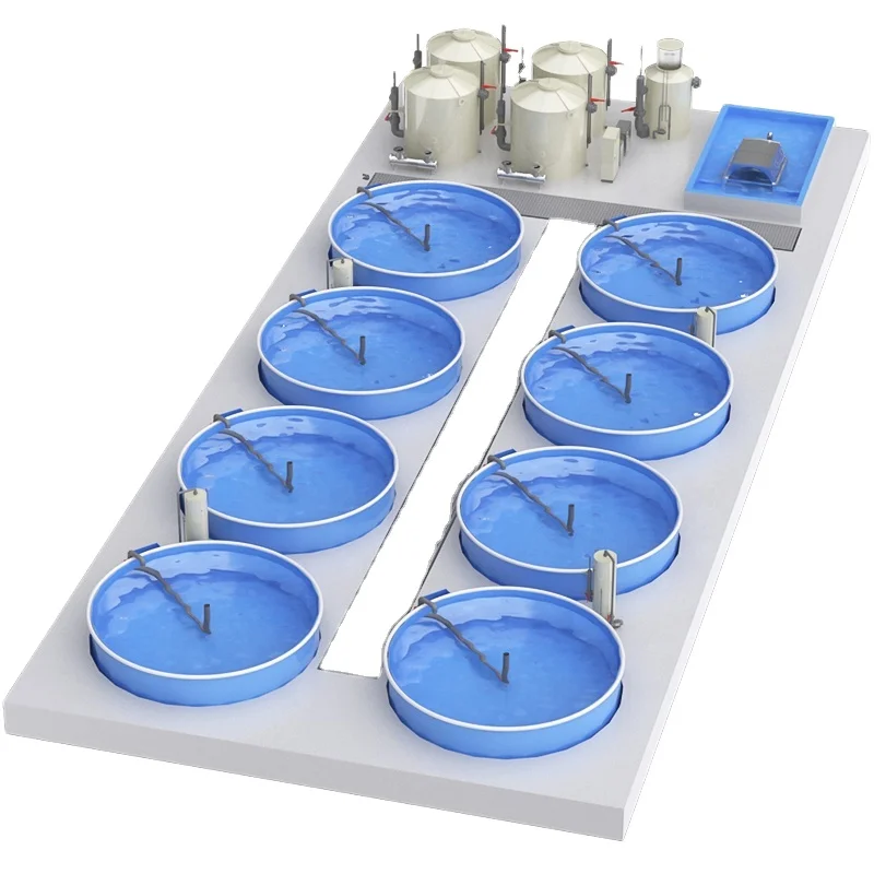 Tilapia Fish Farm System Recirculating Aquaculture System Fish Farm ...