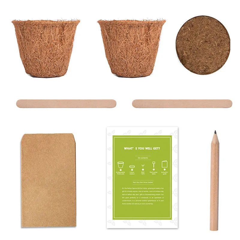 Blind Box Planting Set Biodegradable Growing Christmas Tree Combination ...