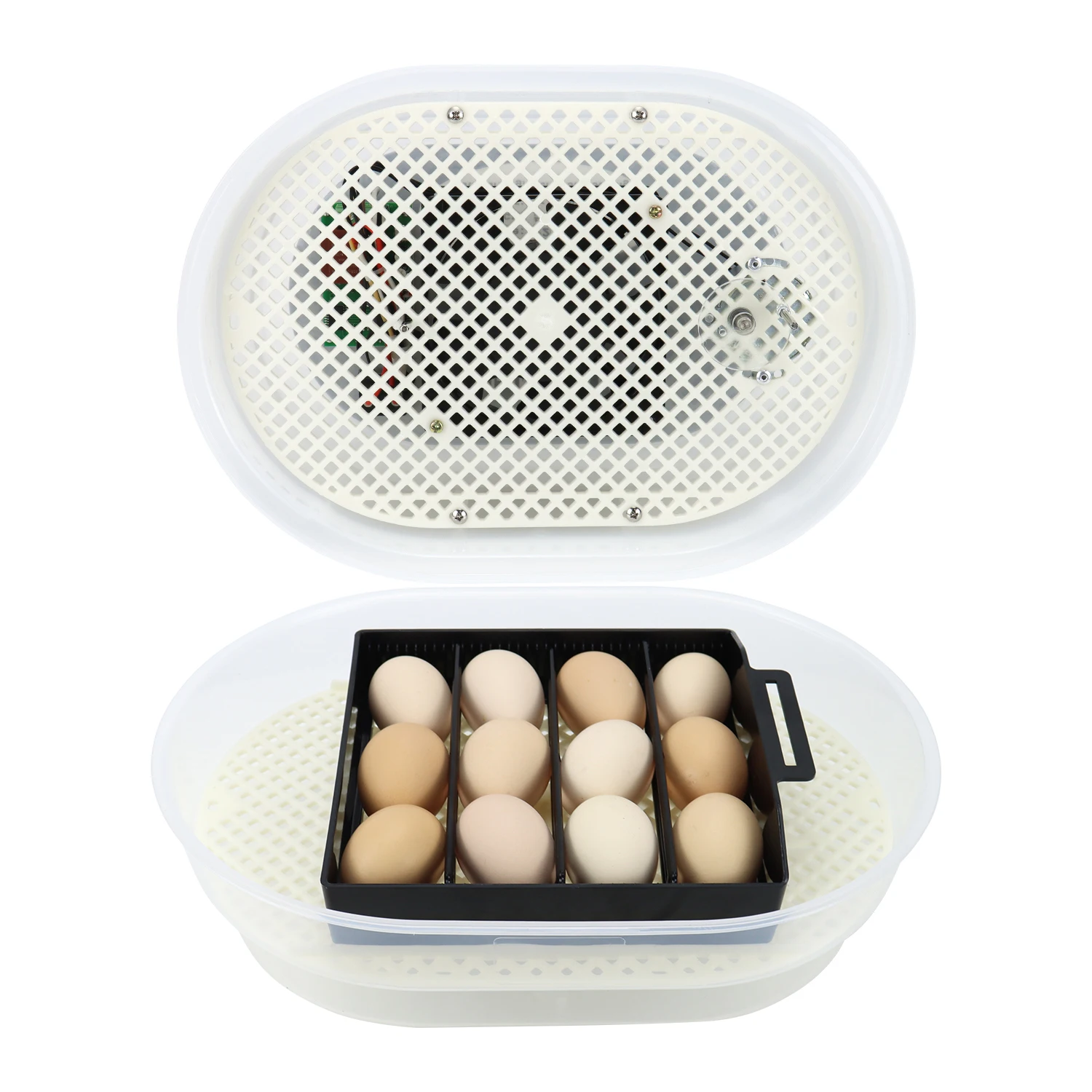 Hatching Machine Controller Automatic Mini Eggs Incubator 12 Chicken ...