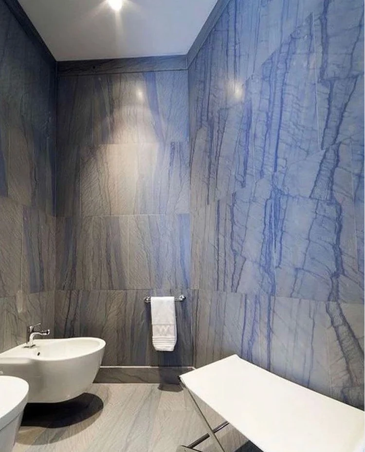 Blue Azul Macauba Quartzite Slab - Modern Wall Panel