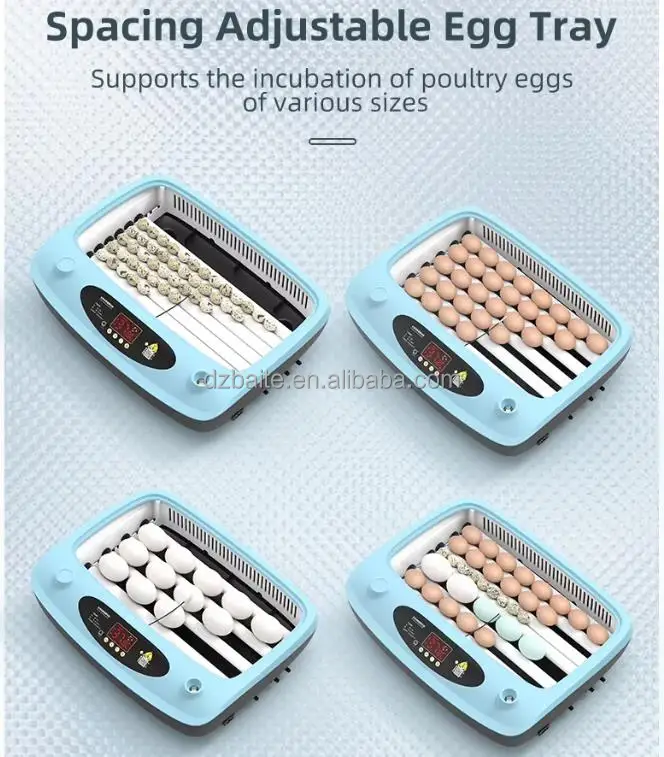 High Quality 40 Capacity Dual Power Supply Automatic Chicken Egg ...