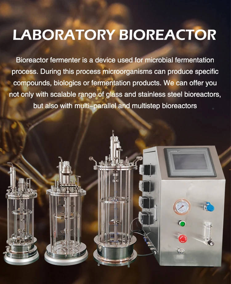Stainless Steel Anaerobic Bioreactor - Micro Algae Cultivation