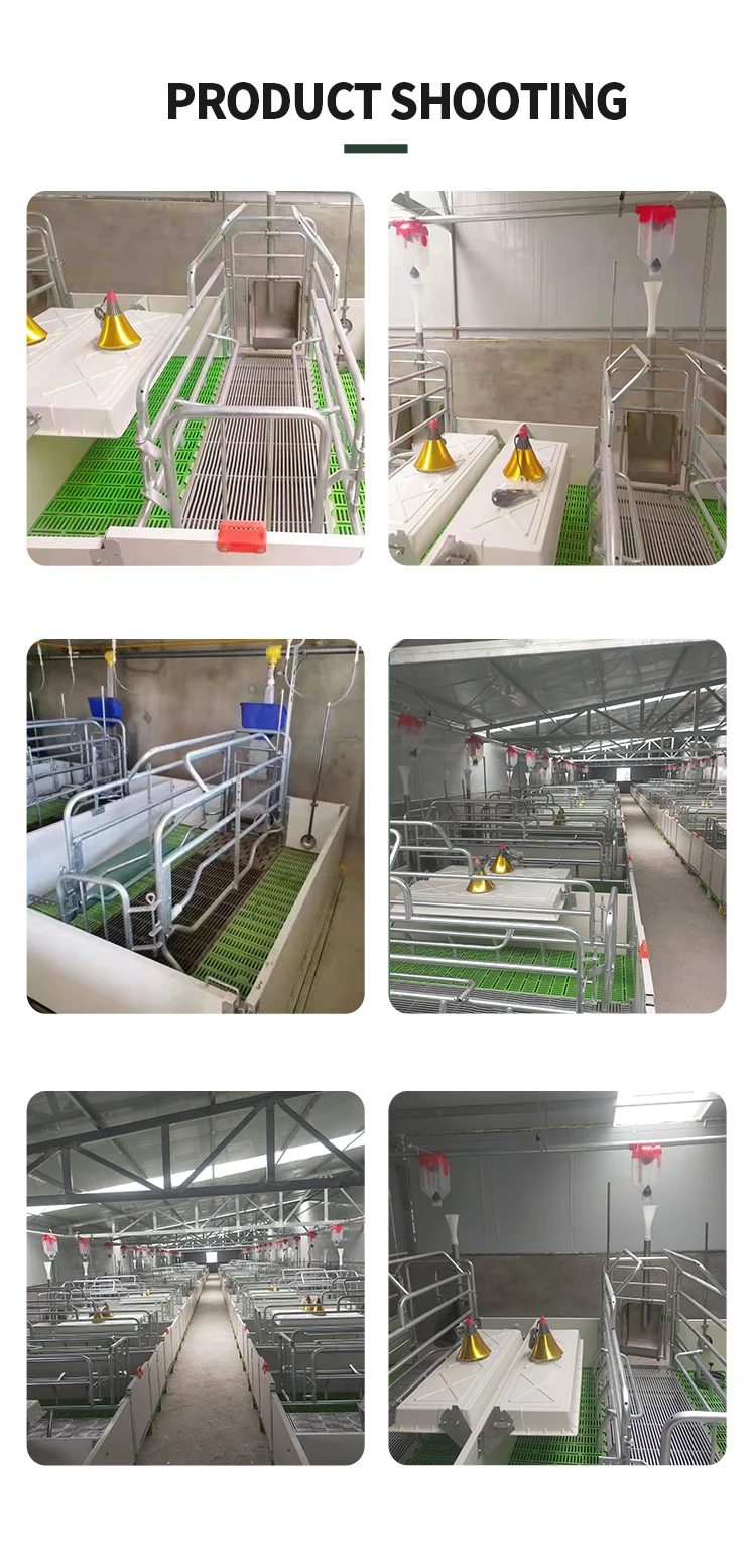 Sow Farrowing Bed Easy Moving Portable Piggery Farm Equipment ...