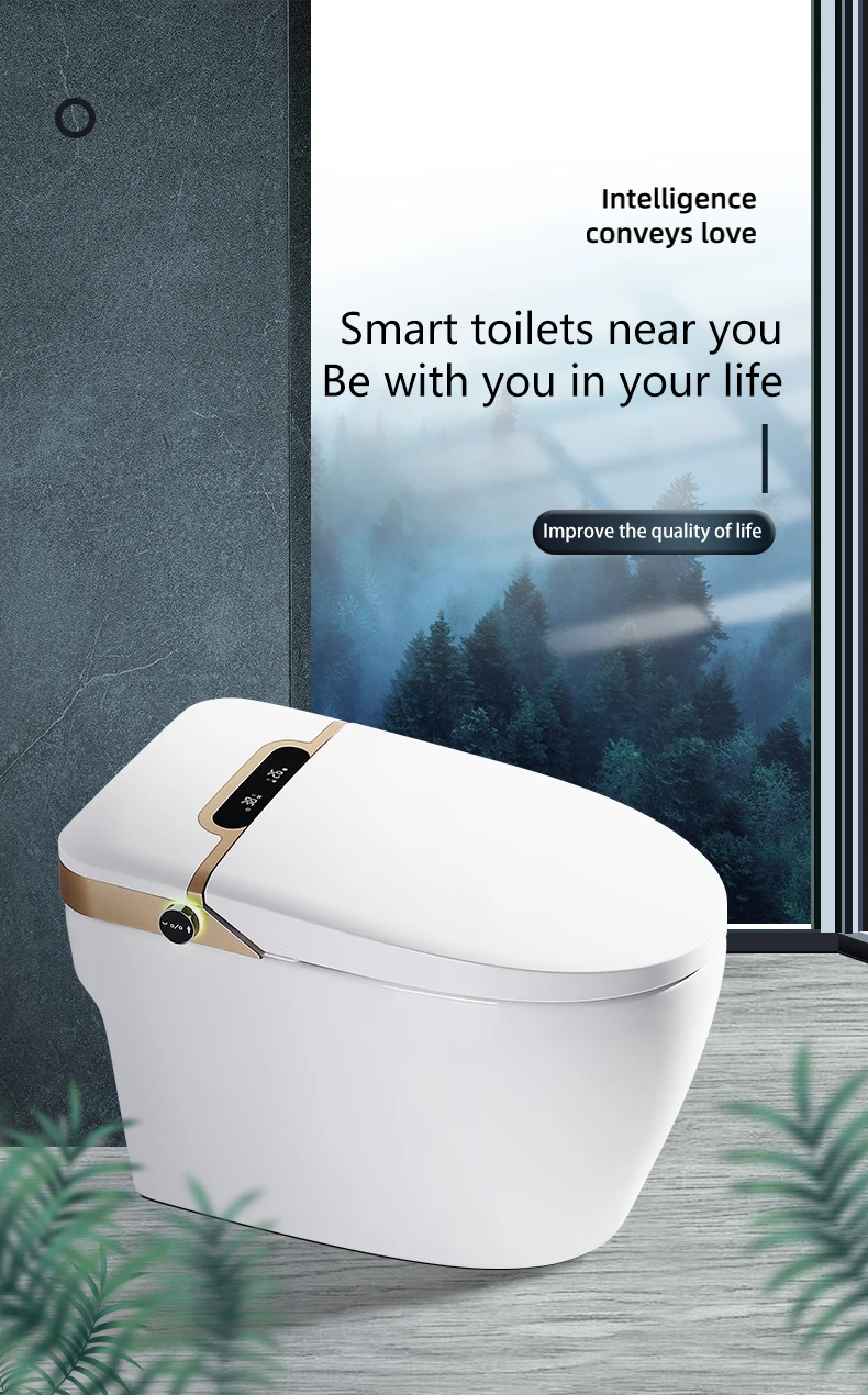 Automatic Operation Smart Toilet Chinese Vaccum System Bidet Toilet ...