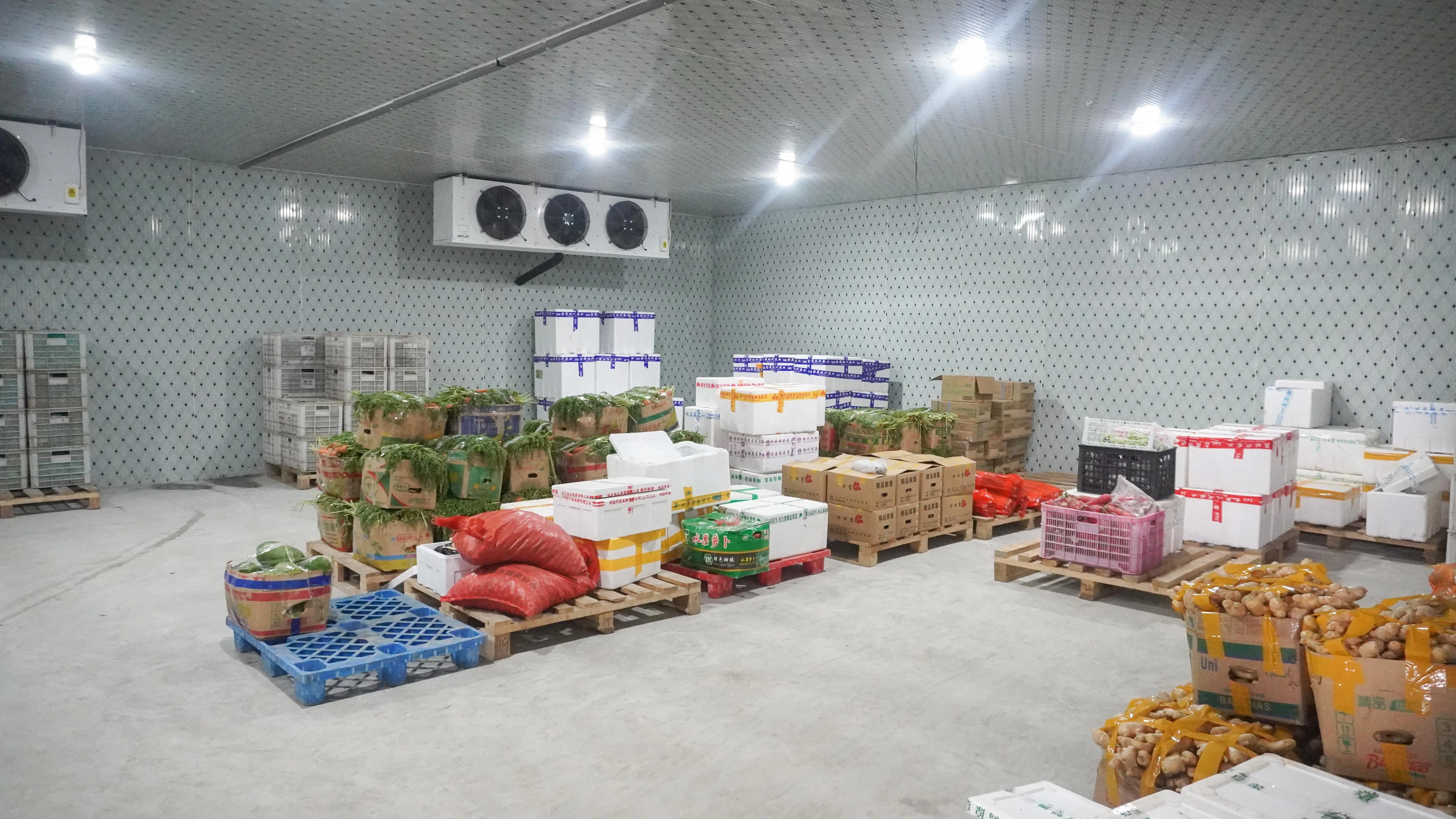 Customized Walk Cold Rooms And Freezers Freezing Room Cold Storage Room ...