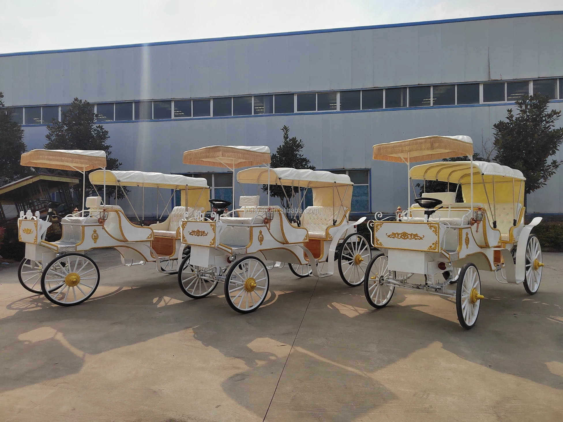 Luxury Four Wheels Sightseeing Horse Carts and Carriages for Sale ...