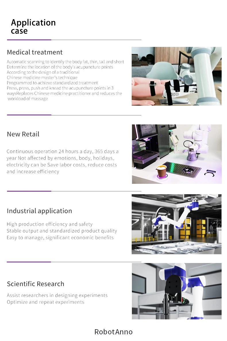 Mini Staubli 4 Axis Robot for Ultrasonic Cutting Robotic Arm