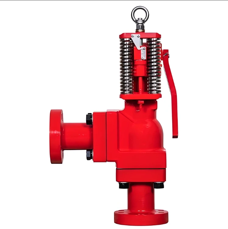 Type C Reset Relief Valve Slurry Pump Safety Valves with Core Components
