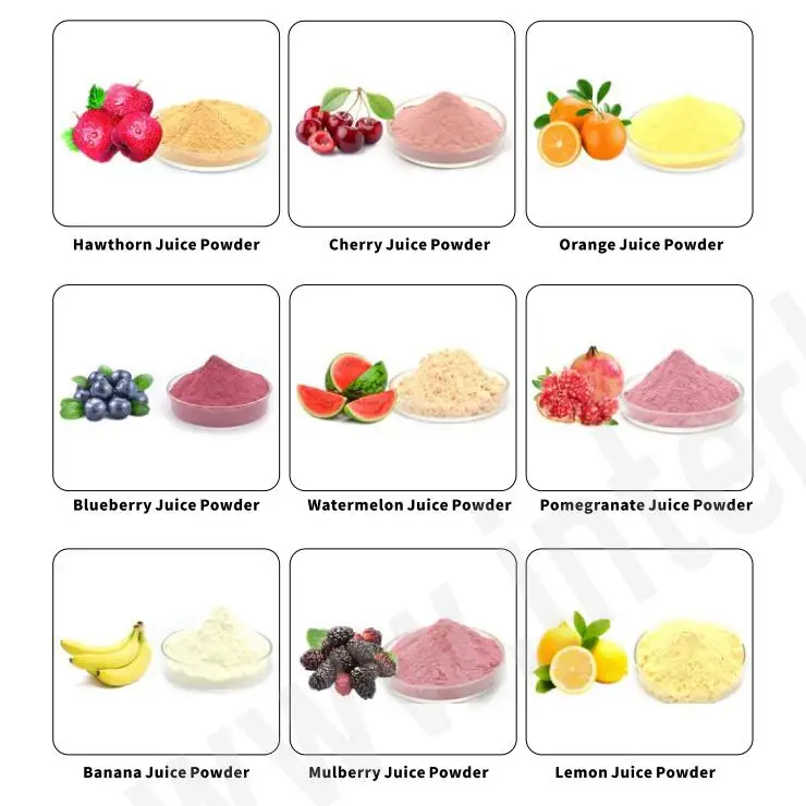 Natural Water Soluble Mango Extract Mango Fruit Powder Mango Juice ...