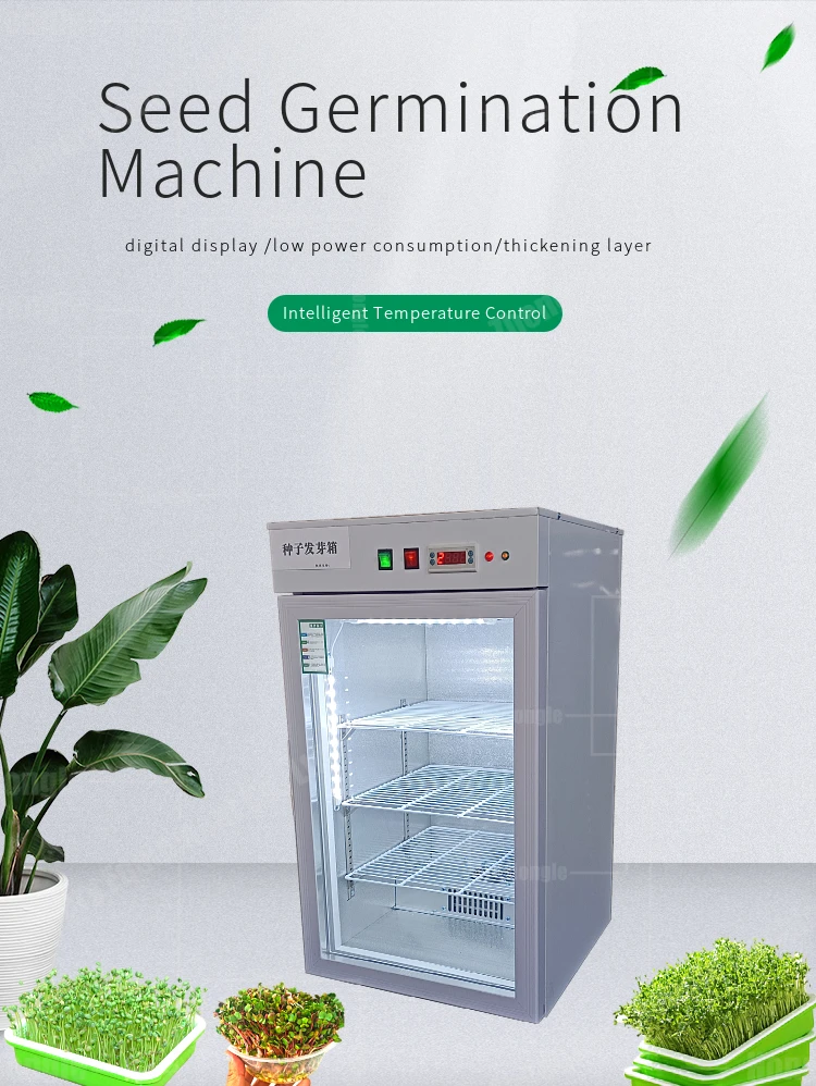 Electric Sprout Maker Rice Seedling Grass Sprouting Machine - Buy Rice ...