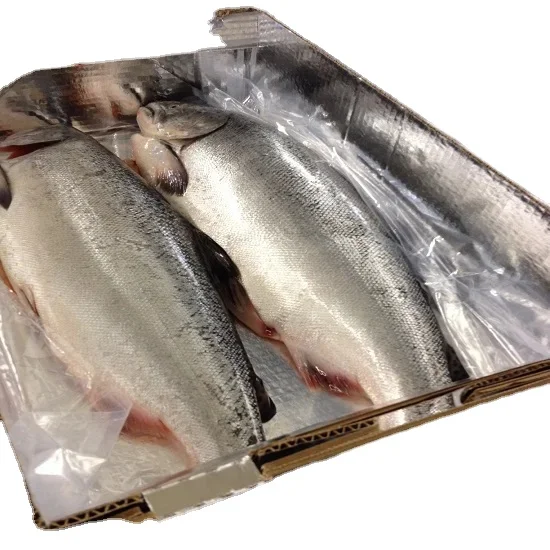 Usa Grade Wild Caught Atlantic Salmon Best Price Salmon Fish Fillets ...
