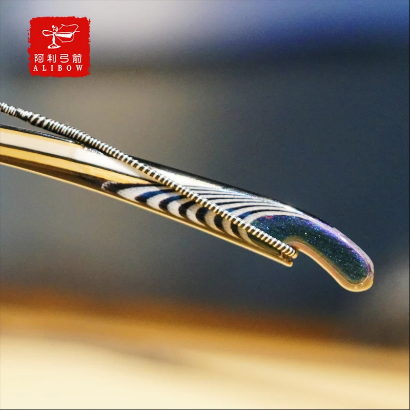 Alibow Traditional Recurve Bow - Custom Exquisite Painted Decoration ...