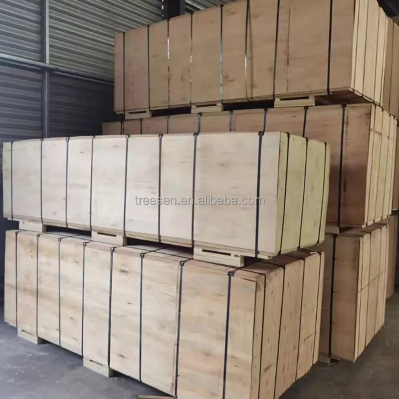 F22 Structural Brace Bracing Ply 4mm Eucalyptus Plywood for Building ...