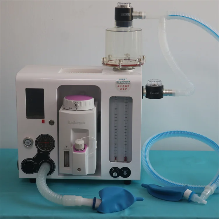 Portable Veterinary Anesthesia Machine With Lcd Monitor From Factory ...