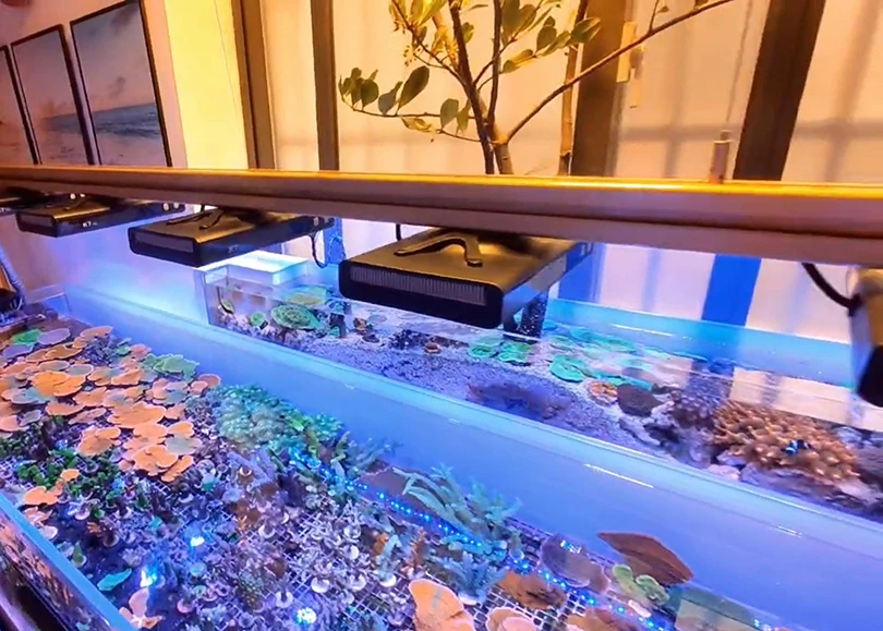 Noopsyche NP K7 Pro V3 III 140W Marine LED Aquarium Lights