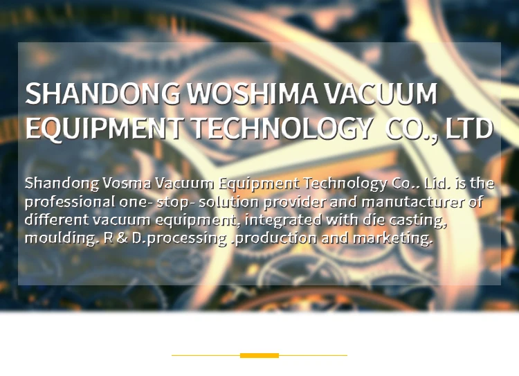 Nash Elmo Liquid Ring Vacuum Pump Exproof Stainless Steel Water Ring ...