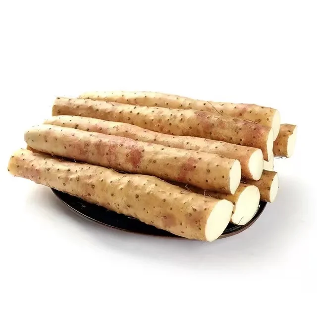 Fresh Chinese Yam - White Yam for Sale from Shandong, China