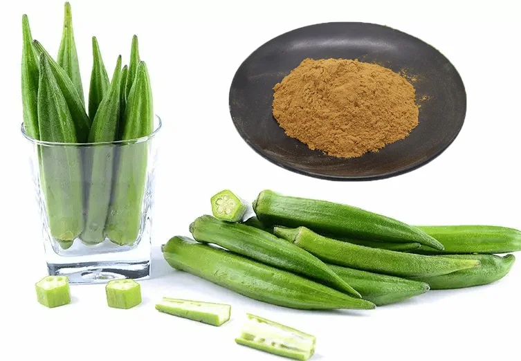 Factory Supply 100% Pure Okra Extract Organic Okra Extract Powder ...