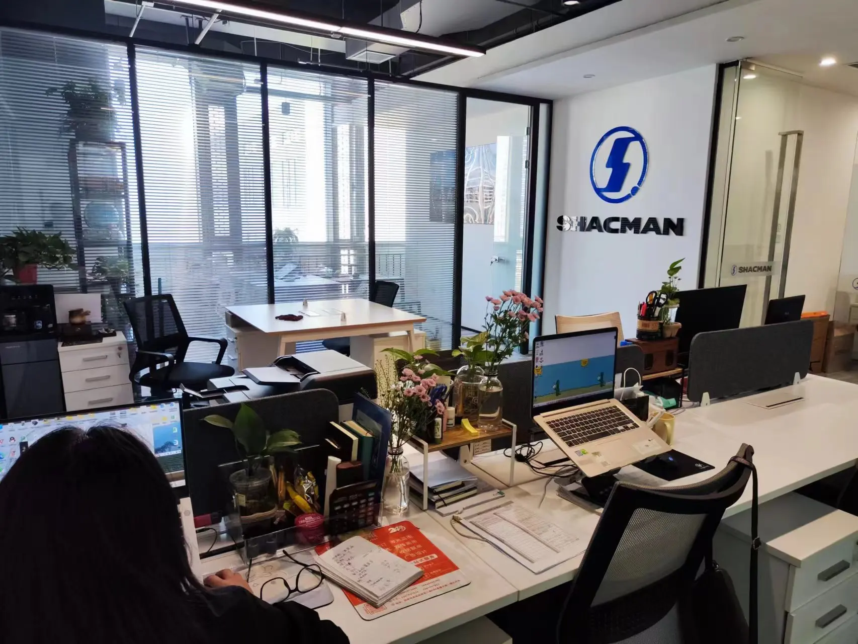 DZ16251444075 Air Spring Damper Assembly - Rear-CALM SHACMAN SHACMOTO ...