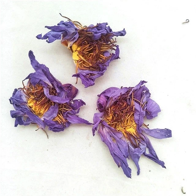 Dried Blue Lotus Flower Blue Tea Petals Natural Whole Blue Flowers ...