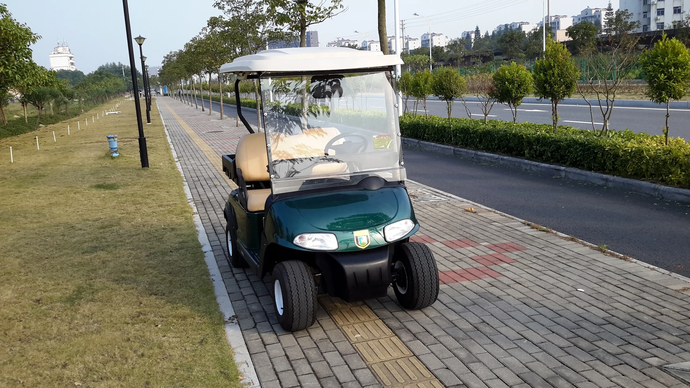 2 Seat Mini Electric Golf Cart Gel Battery Curits Controller Golf Buggy ...
