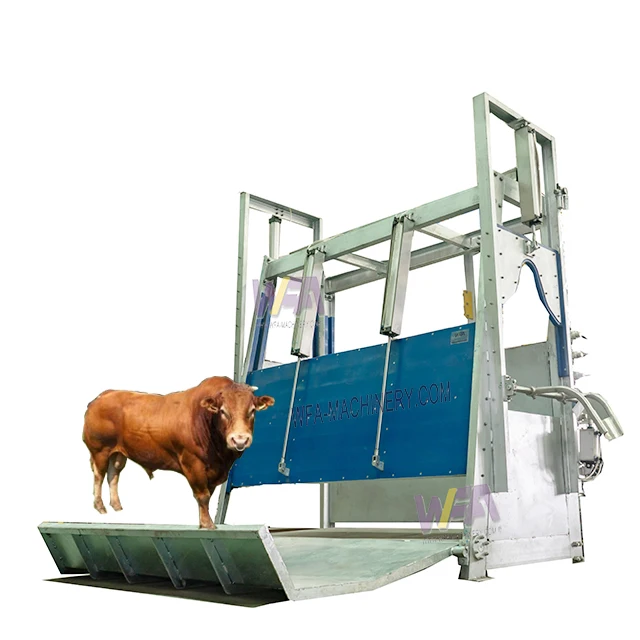 Alibaba.com: Stainless Steel Cattle Stunning Knocking Box, 1-2 Year ...