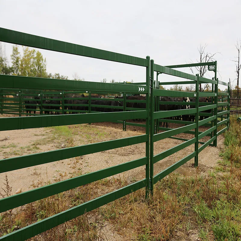 Livestock Cattle Sheep Fence Pipe Corral Fence Panels Square Tube Type ...