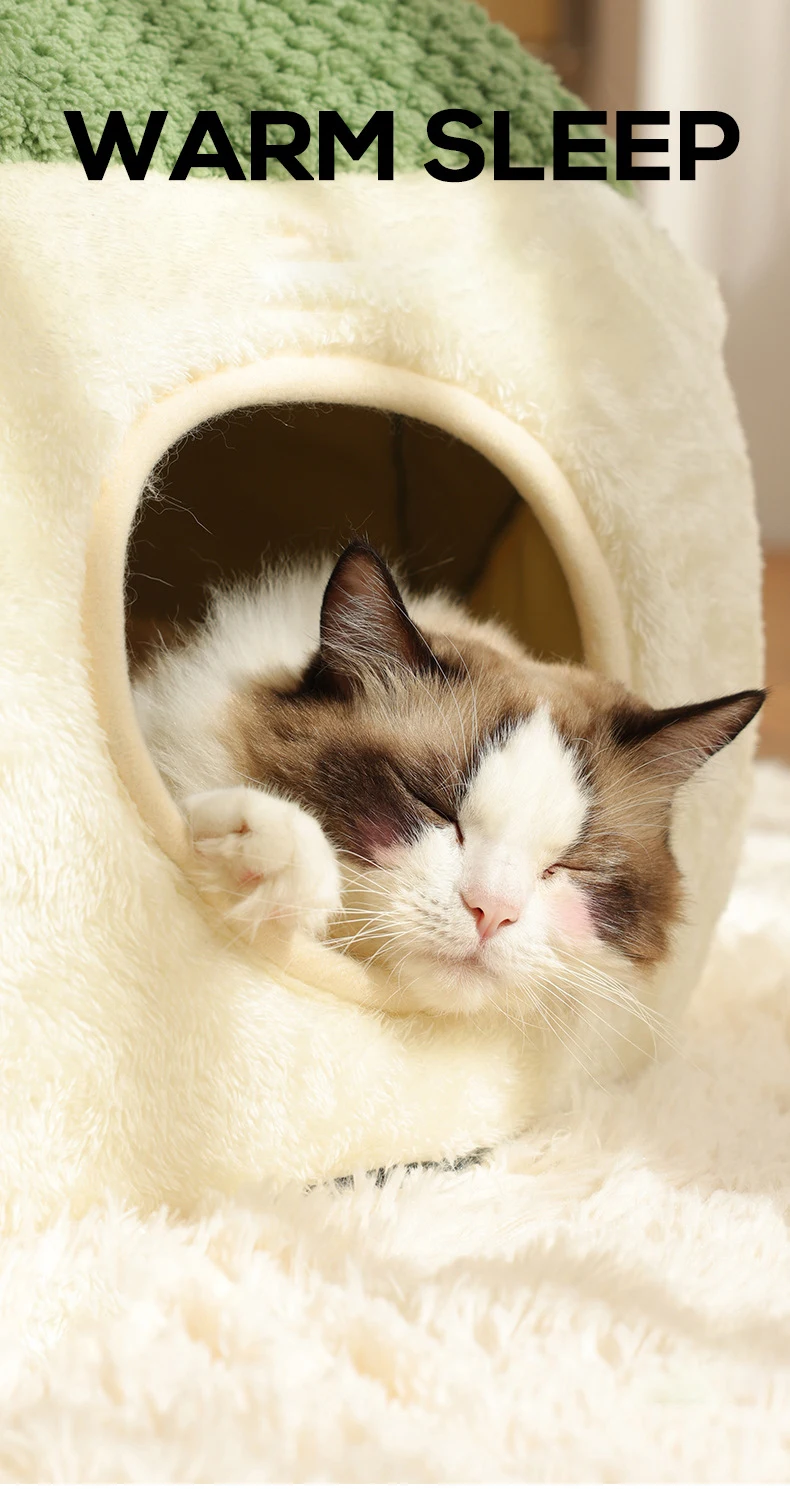 Cartoon Frog Design Luxury Pet Bed Comfortable Plush Puppy Nest Cave ...