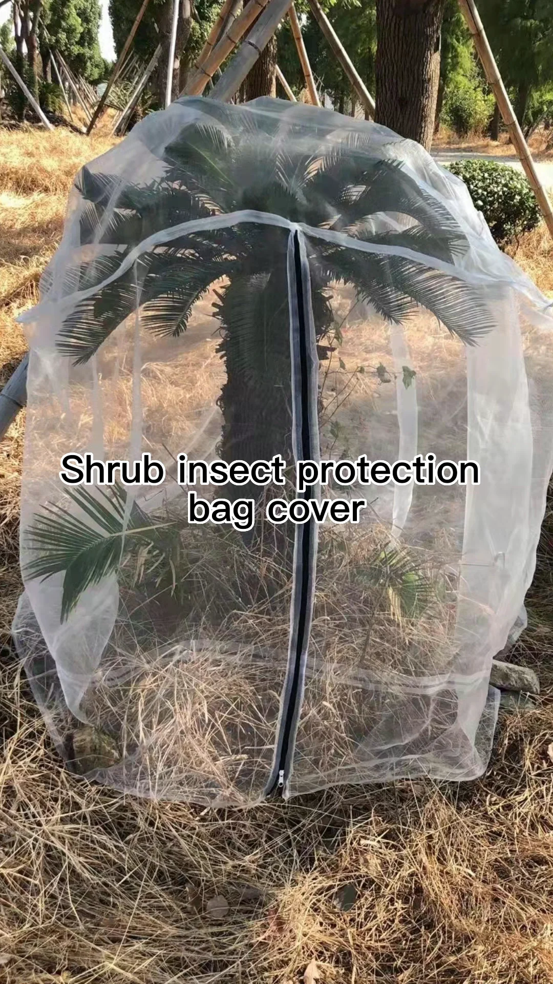 Orchard Fruit Tree Cover Net Bags Anti Fly Anti Bird Anti Insect Net ...