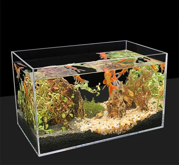 Custom Betta Aquarium - Durable Acrylic Fish Tanks