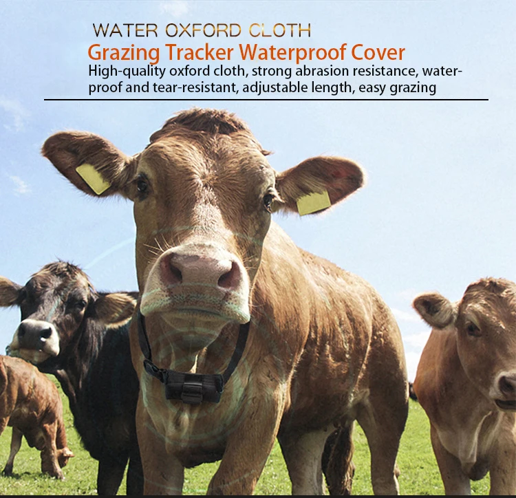 Cattle Sheep GPS Tracker Collar - Anti Lost Bag Universal