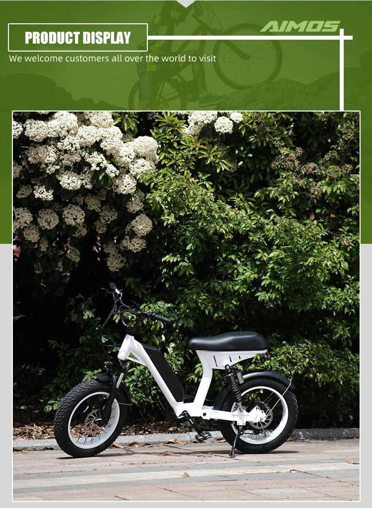 Aimos 2025 New Performance 20-Inch Dual Battery Electric Cargo Bike ...