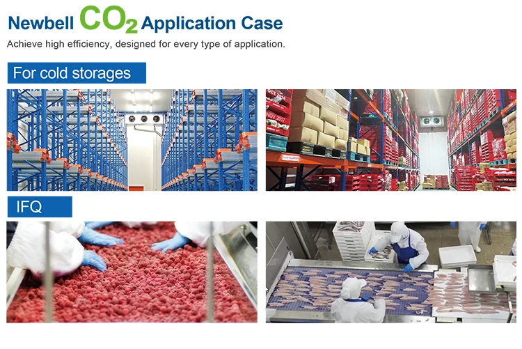 ARKREF High Quality Freon/co2 Cold Storage Solutions