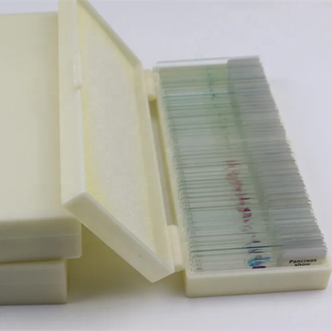 Laboratory Glassware Teaching Microscope Slides Microslides Biology ...