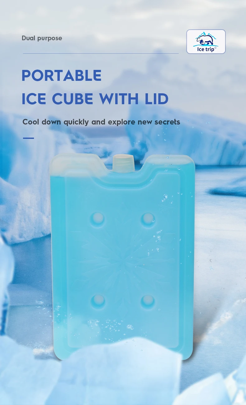 Factory Direct Sale Reusable Cold Pack Mini Ice Brick Cooler Box Ice ...