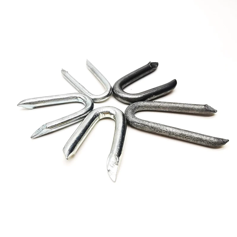 U Type Nails Fence Staple Stamped Point Hot Dip Galvanized/ Polished ...