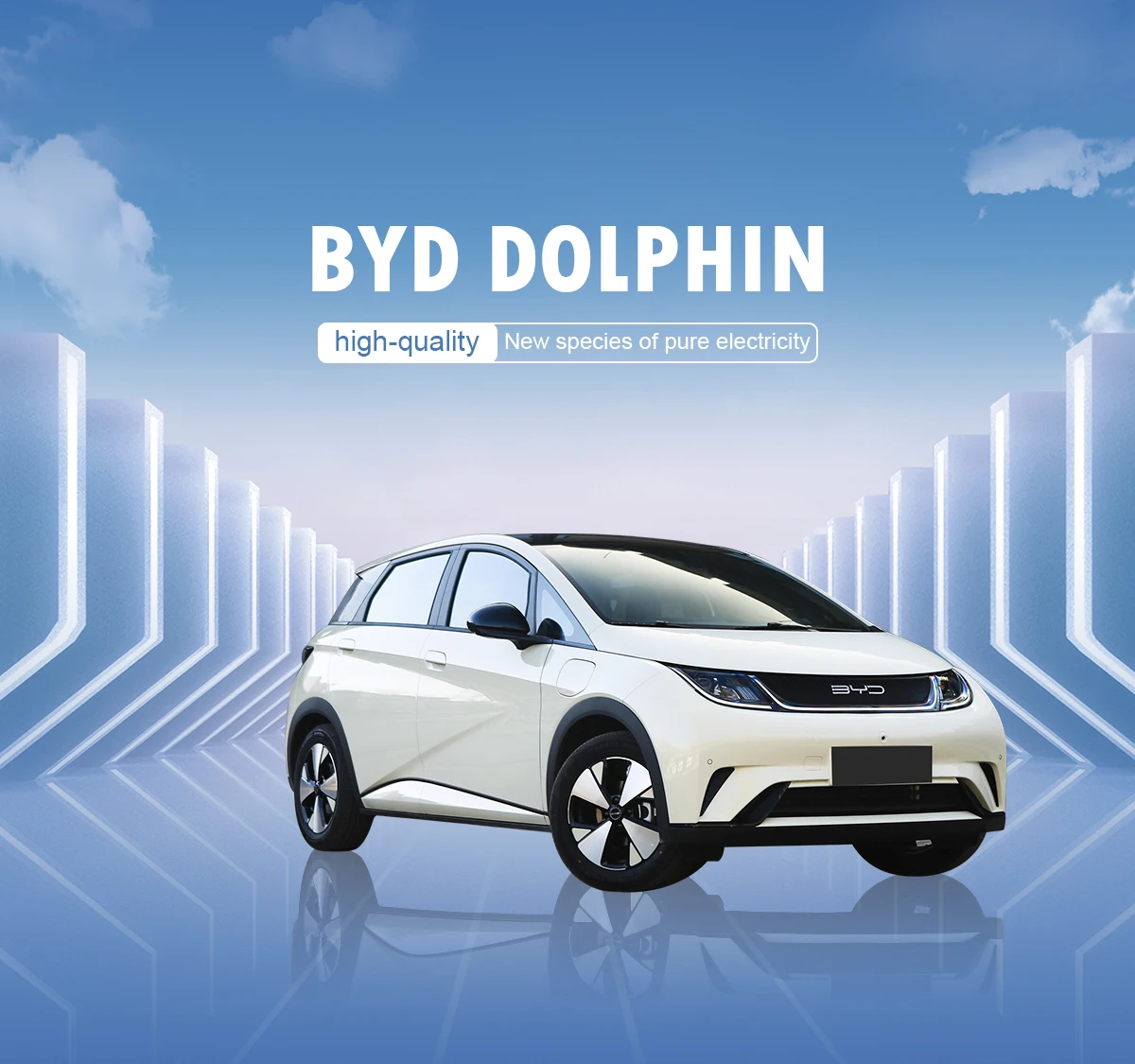 Dolphin 2023 500,000 Commemorative Edition Plus Electric Vehicle Adult ...