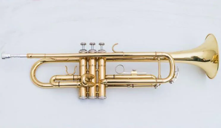 Professional Bb Key Trumpet Brasswind Musical Instrument Bb Key Trumpet ...