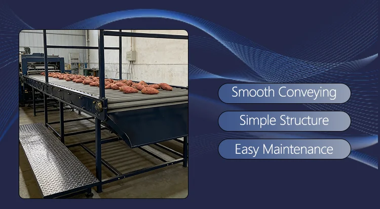 Roller Sorting Table Conveyor for Tomato Potato and Cherry Sorting ...