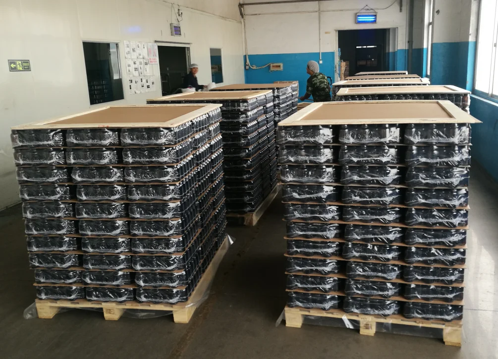 2.5L Amber Glass Chemical Bottles - Ideal for Pharmaceuticals