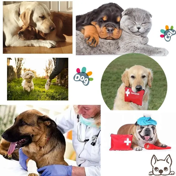 OPI Approved High Quality Wholesale First Aid Pouch Dog Pet Medical Kit ...