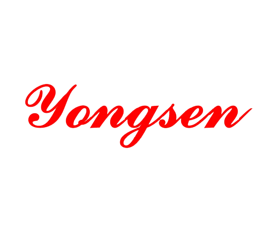 Company Overview - Shenzhen Yongsen Intelligent Technology Co., Ltd.