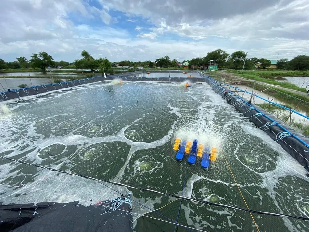 Aerotube For Aquaculture Shrimp Farming Fish Farming High Density ...