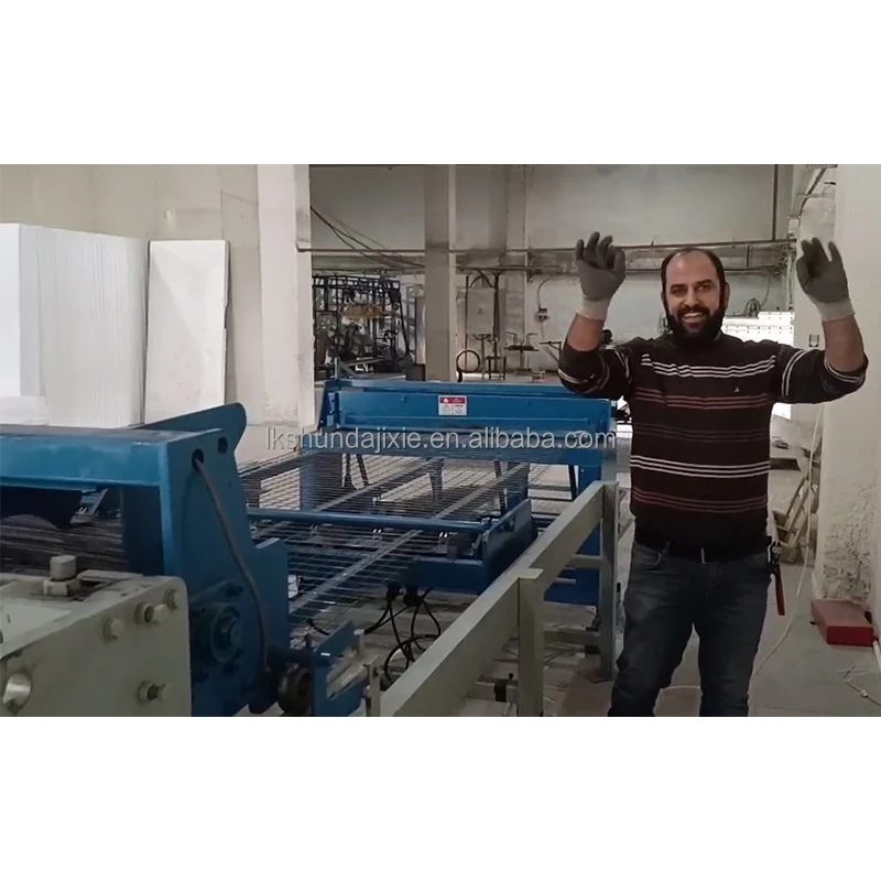 Expanded Polystyrene Metal Mesh Construction Eps Panel Production Line ...